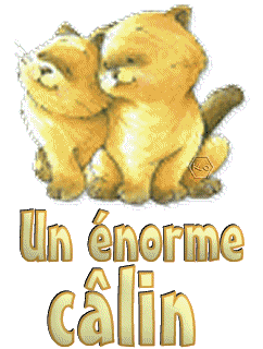 gif calin